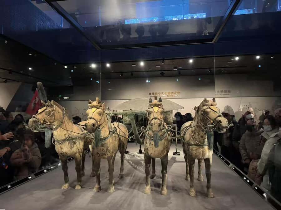 Xian Private Day Tour:Terracotta Warrior, City Wall& Pagoda - Who This Tour Is Best For