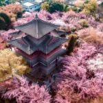 Xi'an: Private Terracotta Army & Huaqing Palace Day Tour - Detailed Itinerary Breakdown