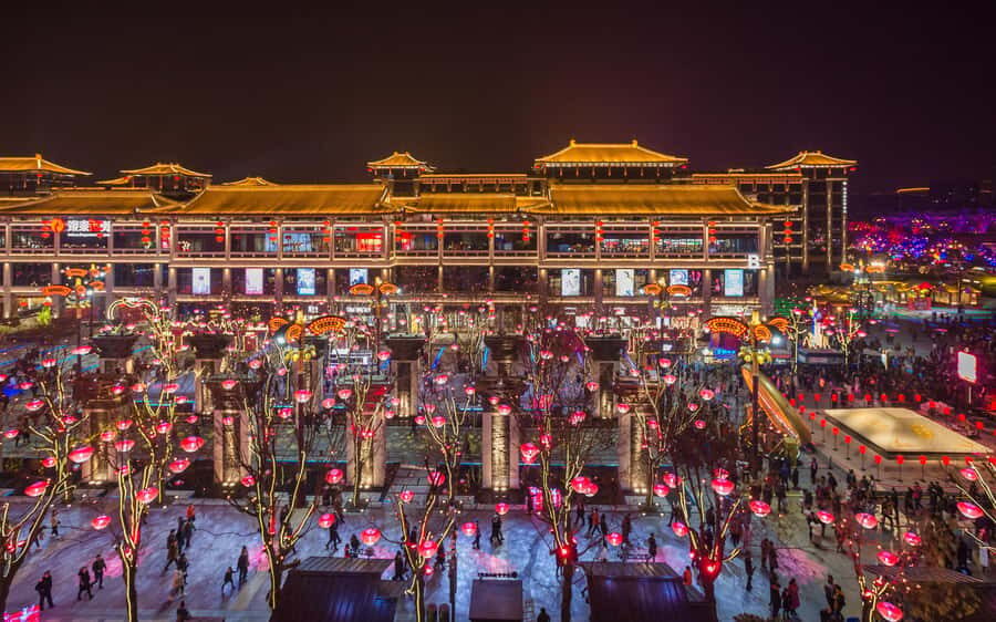 Xi'an: Terracotta Army,Big Wild Goose Pagoda,Tang Night City - Practical Details and Logistics