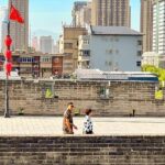 Xian Terracotta Warriors, City Wall and Tuktuk Food Tour - Who Will Love This Tour?