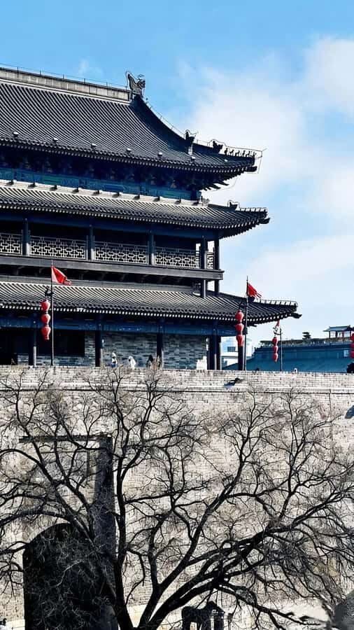 Xi'an: Terracotta Warriors Guided Tour with Transfers - What’s Included and How the Itinerary Unfolds