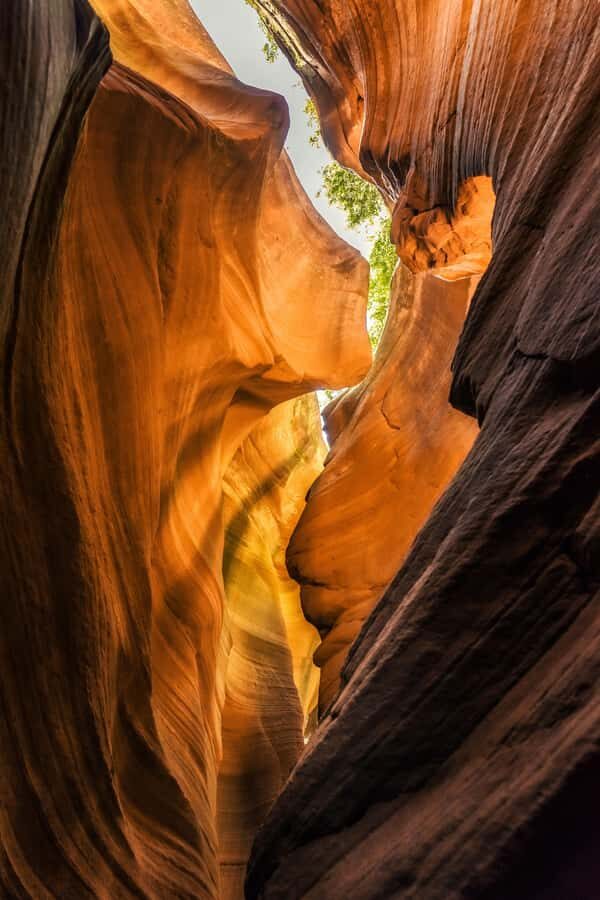 Xi'an to Yucha/Ganquan Grand Canyon Private Day Trip - Why This Tour Offers Good Value