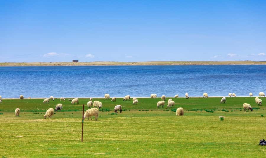 Xining: Qinghai Lake Private Day Tour with Bike Ride - What Makes This Tour Stand Out?