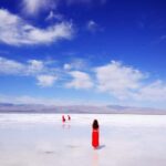 Xining: Qinghai Lake Private Tour with Hotel Pickup - Who Will Enjoy This Tour?