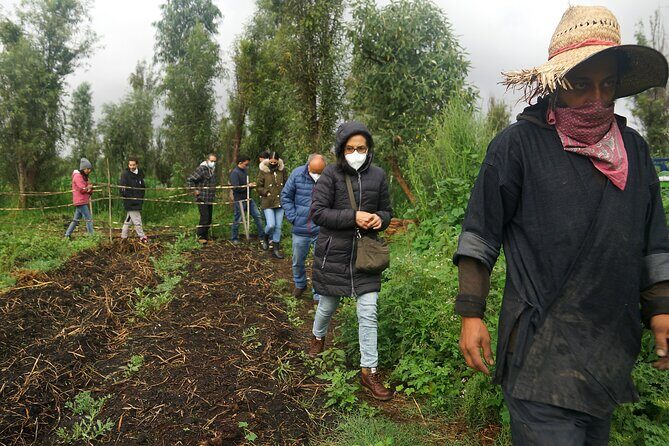 Xochimilco Ancestral Ajolotos Chinampas and Living Tradition - Authenticity and Eco-Consciousness