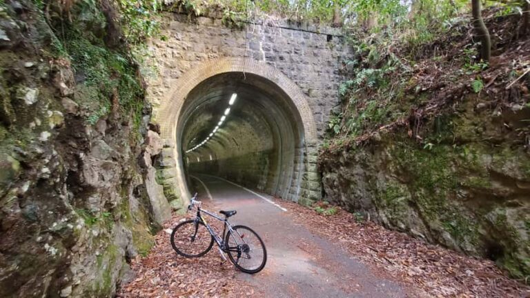 Yabakei Gorge Countryside Cycling Tour - Who Should Sign Up?