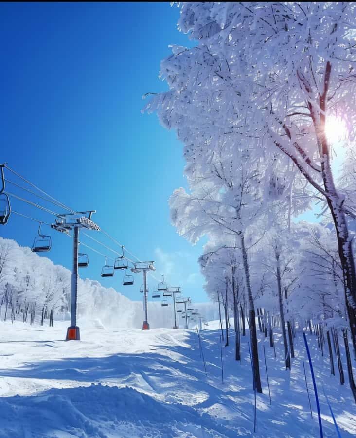 Yabuli Ski Resort Ski Ticket in Harbin - Exploring Yabuli Ski Resort: Practical Details and What to Expect