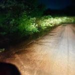 Yala: Bike and Tuk Tuk Tour with Wildlife and Temple Visit - Who Should Consider This Tour?