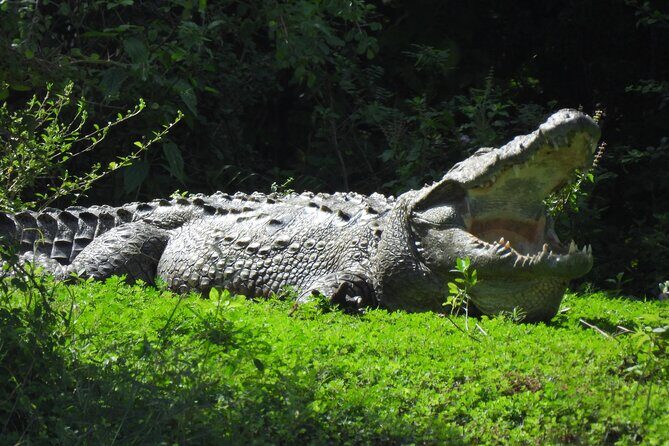 Yala National Park Full Day Safari - Ceylon Safari Tours - Breaking Down the Itinerary