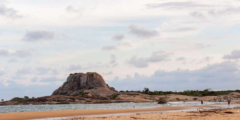 Yala National Park: Half, 7-Hour, or Full-Day Safari & Meals - The Itinerary: What to Expect