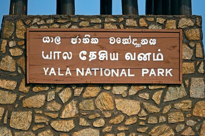 Yala National Park Half Day / Full Day Special Safari Tours - Overview of the Safari Experience