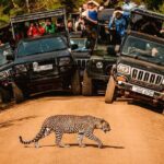 Yala National Park Leopard Safari Wildlife Private Adventure - The Practicalities: Timing, Group Size, and Booking