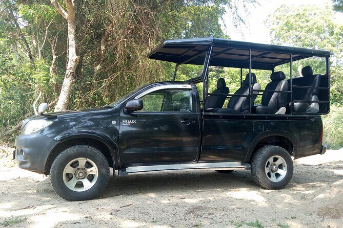 Yala National Park Safari Half Day and Full Day Tours - Authentic Experiences from Travelers