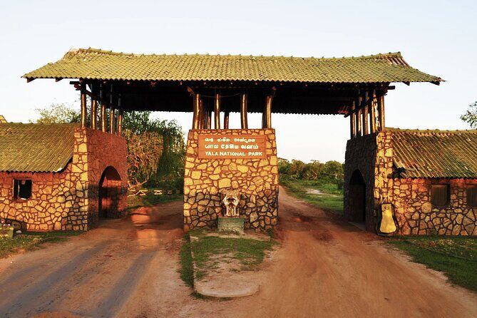 Yala National Park Safari - Private Tour - Comfort and Transportation