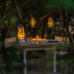 Yala: Stargazing Jungle BBQ Night - Why This Tour Offers Great Value