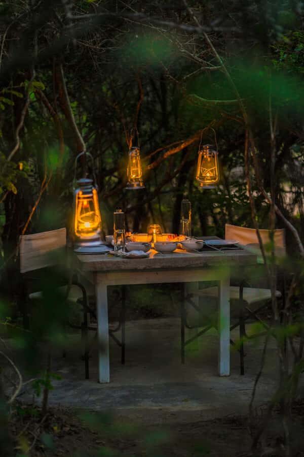 Yala: Stargazing Jungle BBQ Night - Why This Tour Offers Great Value
