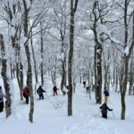 Yamagata: Icefall Ice Monster Snow Trekking with Local Guide - Logistics: Getting There and What to Prepare