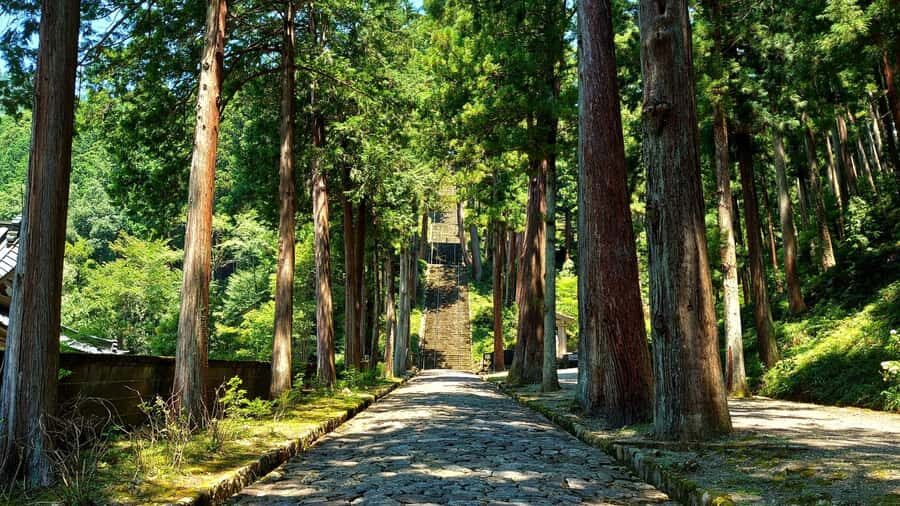 Yamanashi: Minobusan, Japans Sacred Mountain of Faith - What to Expect from the Tour