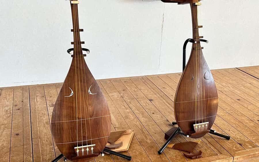 Yamato: Satsuma Biwa Music Playing Experience - Who Will Love This Experience?