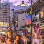 Yanaka and Nezu Walking Tour Discover the Edo Spirit - Practical Details & Tips
