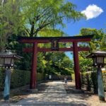 Yanaka & Ueno: Walking Tour of Tokyo Tradition & Culture - Ueno Park: A Cultural and Natural Sanctuary