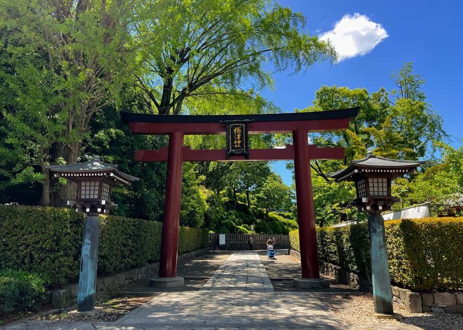 Yanaka & Ueno: Walking Tour of Tokyo Tradition & Culture - Ueno Park: A Cultural and Natural Sanctuary