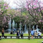 Yangmingshan & Beitou Geothermal Wonders Day Tour - Why This Tour Works Well
