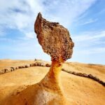 Yehliu, Golden Waterfall, Jiufen, Shifen Day Tour - What Travelers Say