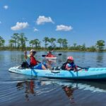 Yellow River Swamp Tour - Why This Tour Stands Out