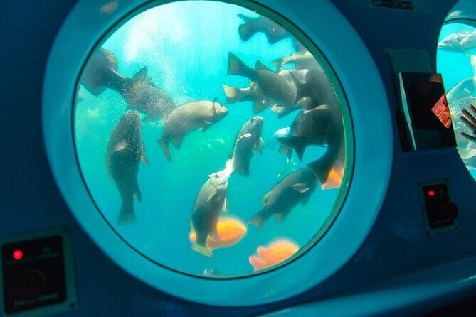 Yellow Semi-Submarine Tour of Catalina Island From Avalon - The Itinerary in Detail