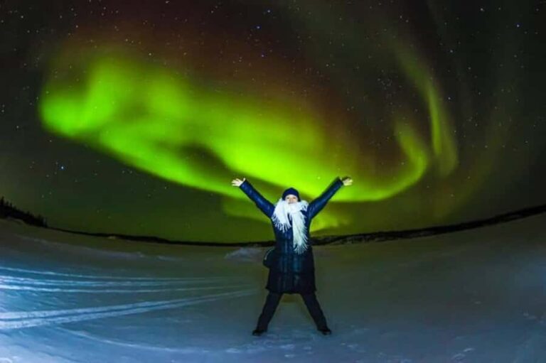 Yellowknife: Full-Day Aurora Borealis Viewing Tour - Why Choose the Yellowknife Aurora Tour?