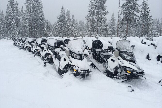 Yellowstone Grand Canyon Full Day Snowmobile Tour - The Experience of Snowmobiling in Yellowstone