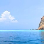 Yilan Day Tour Whale Watching Cruise and Animal Farm - Additional Details and Practical Insights