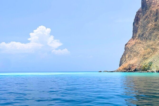 Yilan Day Tour Whale Watching Cruise and Animal Farm - Additional Details and Practical Insights