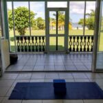 Yoga and Meditation, Group or Private Sessions in Nevis - An In-Depth Look at Nevis Yoga and Meditation