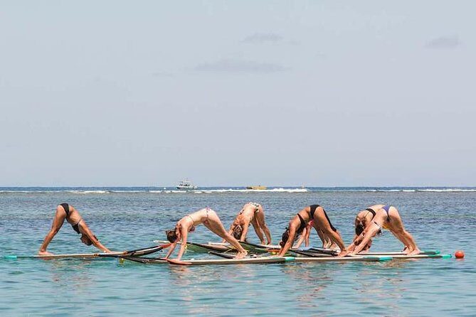 Yoga Paddle Aqua Zen, yoga on a floating carpet in connection with nature! - Authentic Feedback from Participants