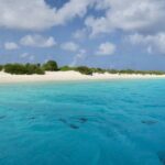 Yoga Session at Pink Beach - Who Should Consider This Tour?