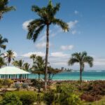 Yoga Session at Villa Serena, Las Galeras - Who Would Benefit Most?