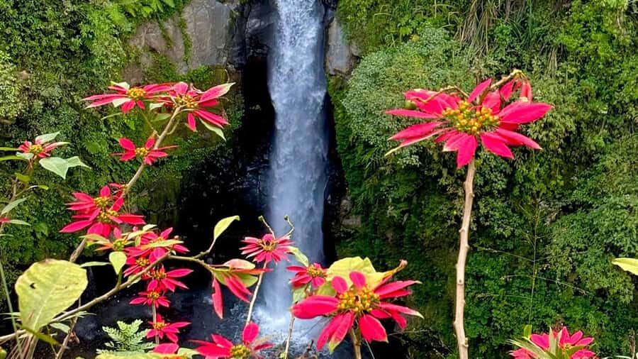 Yogyakarta 2-Day Adventure Tour - How It All Comes Together: The Practical Side