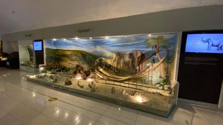 Yogyakarta: Ancient Human Museum & Exotic Sukuh Temple - Exploring the Itinerary in Detail