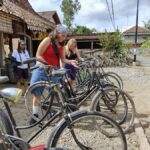 Yogyakarta: Authentic Cycling Tour, Lunch & Waterfall Escape - What To Expect: A Day of Rural Charm and Refreshing Nature