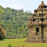 Yogyakarta: Borobudur Climb-up & Selogriyo Paddy Field Tour - Final Thoughts on Value and Experience