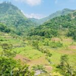 Yogyakarta: Borobudur Climb-Up Selogriyo Rice Field Trekking - Who This Tour Is Best For
