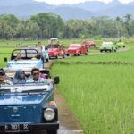 Yogyakarta: Borobudur Sunrise & Prambanan with Village Tour - Who This Tour Is Perfect For