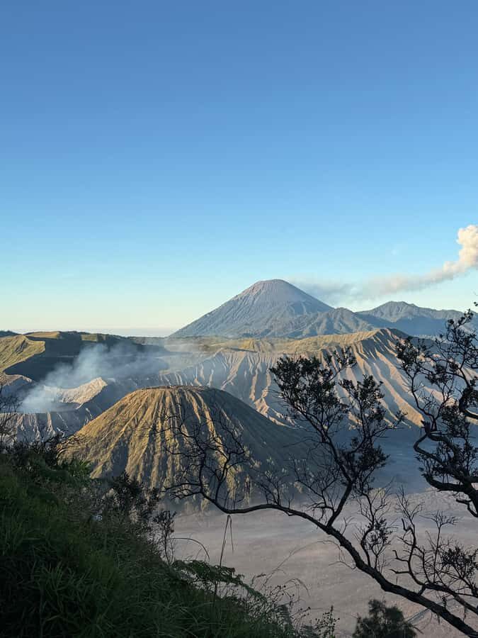 Yogyakarta: Bromo, Madakaripura, & Ijen Private Tour to Bali - What the Tour Includes & Practical Details