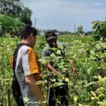 Yogyakarta: Cooking Class with Market Visit and Hotel Pickup - Who Should Consider This Tour?