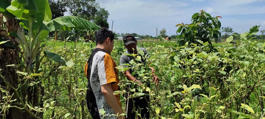 Yogyakarta: Cooking Class with Market Visit and Hotel Pickup - Who Should Consider This Tour?