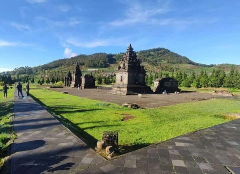 YOGYAKARTA: DIENG PLATEAU NATURE TOURISM AND TEA PLANTATION. - What to Expect on This Tour