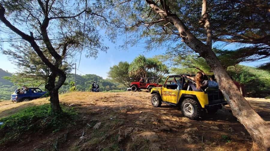 Yogyakarta: Explore Pindul Cave, Oyo River & Timang Beach - Practical Tips for Travelers