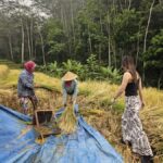 Yogyakarta: Flying Fox, Pule Payung & Ricefield Scenic Tour - A Step-by-Step Breakdown of the Itinerary